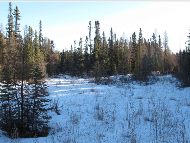Wagner Natural Area